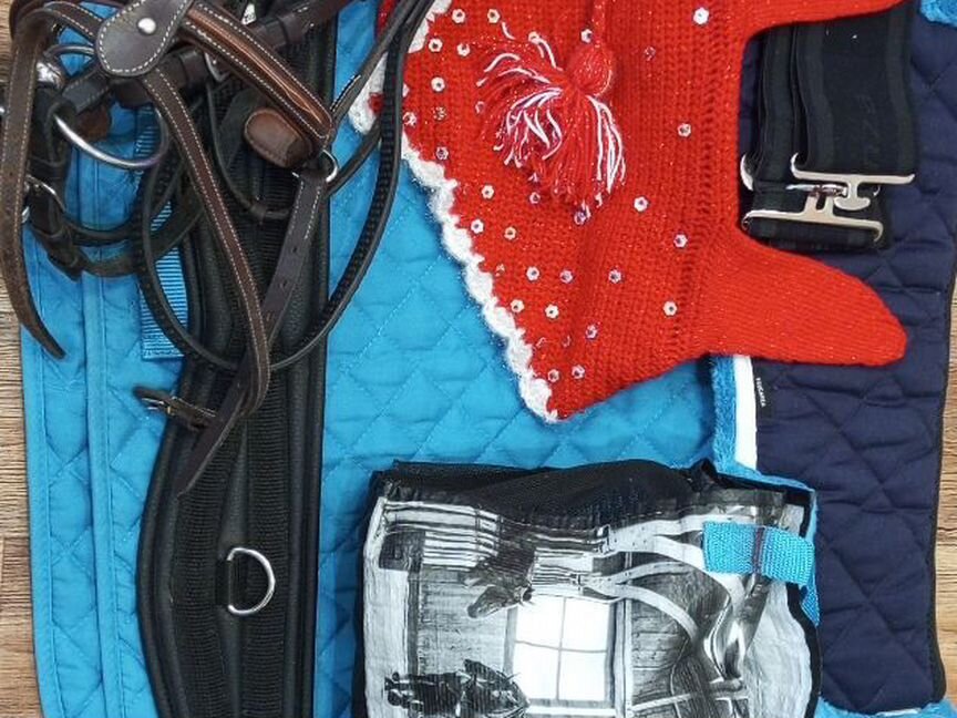 Конная амуниция бу