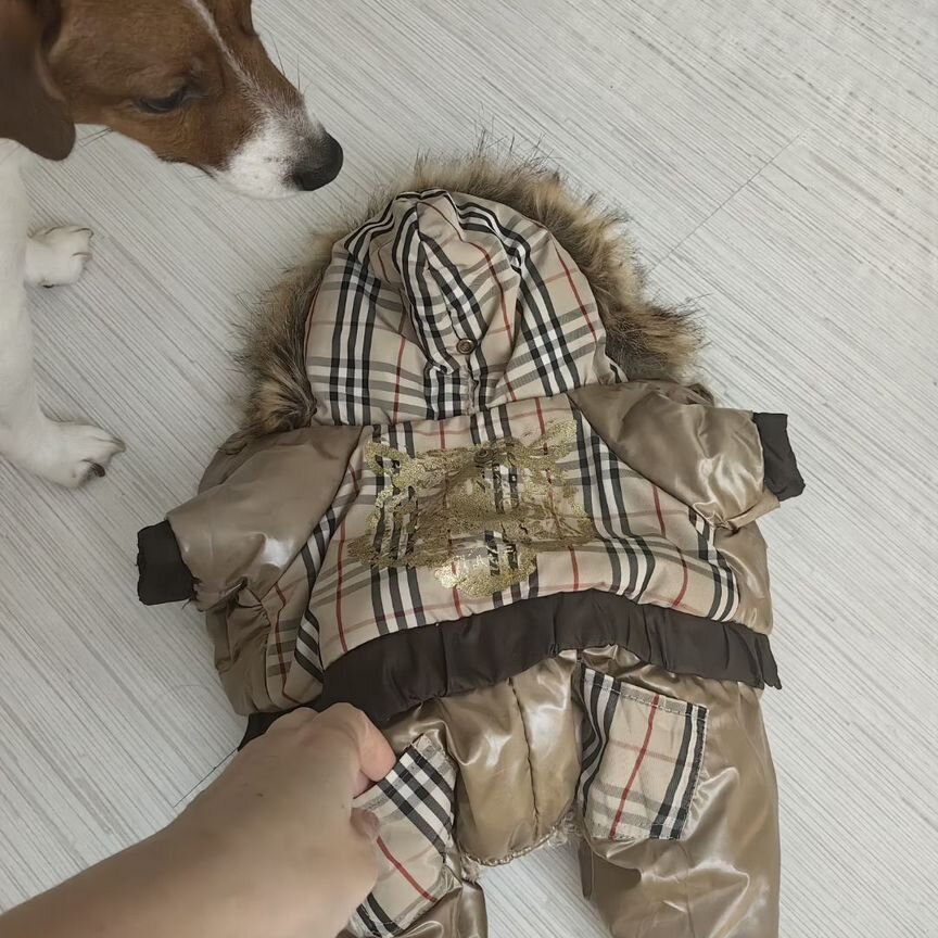 Зимняя куртка для собачки