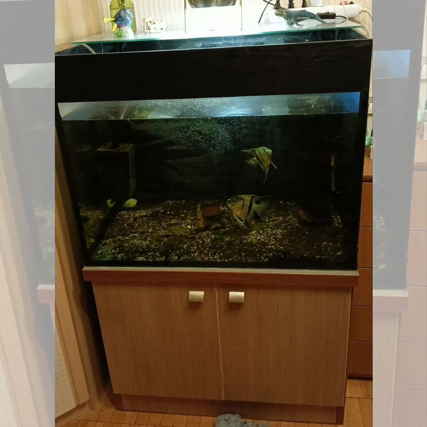 Аквариум 235 литров