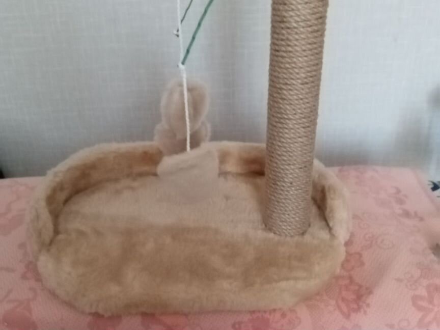 Когтеточка и другие вещи