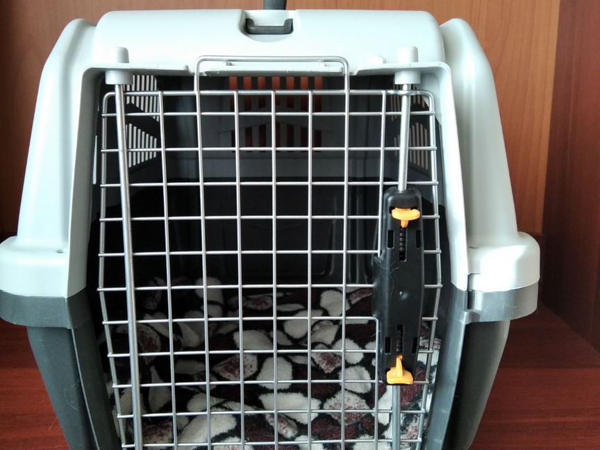 Переноска для кошек пластиковая бу