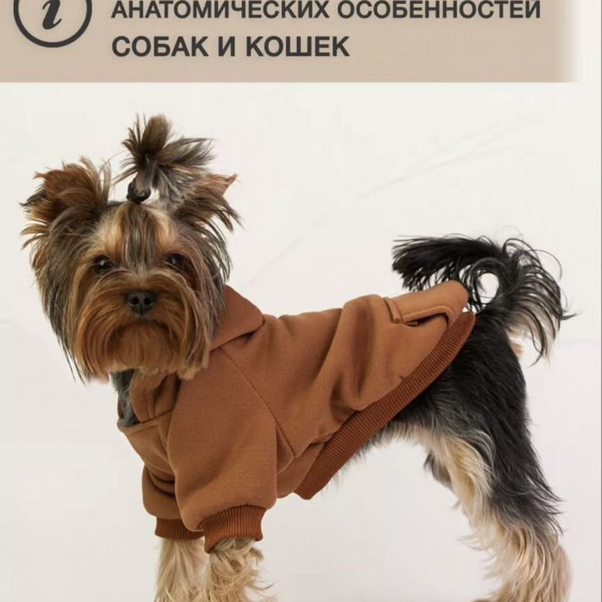 Толстовка для собак и кошек