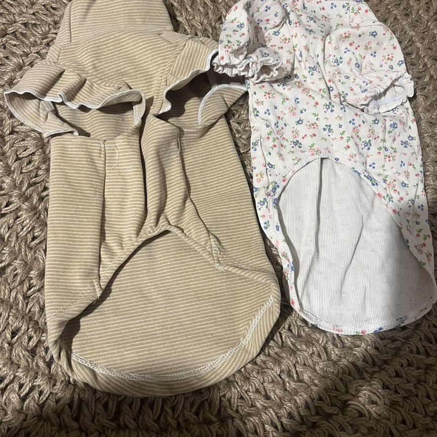 Одежда для собак мелких пород