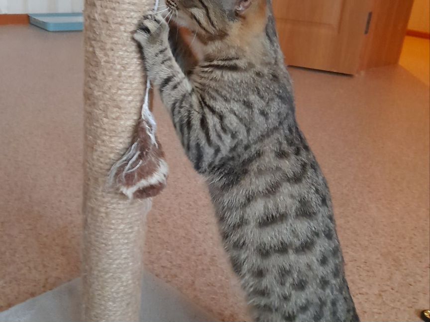 Чудесный малыш 4 мес