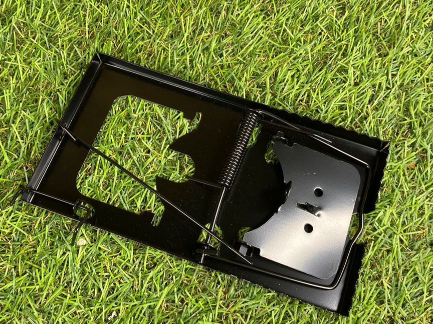 Крысоловка