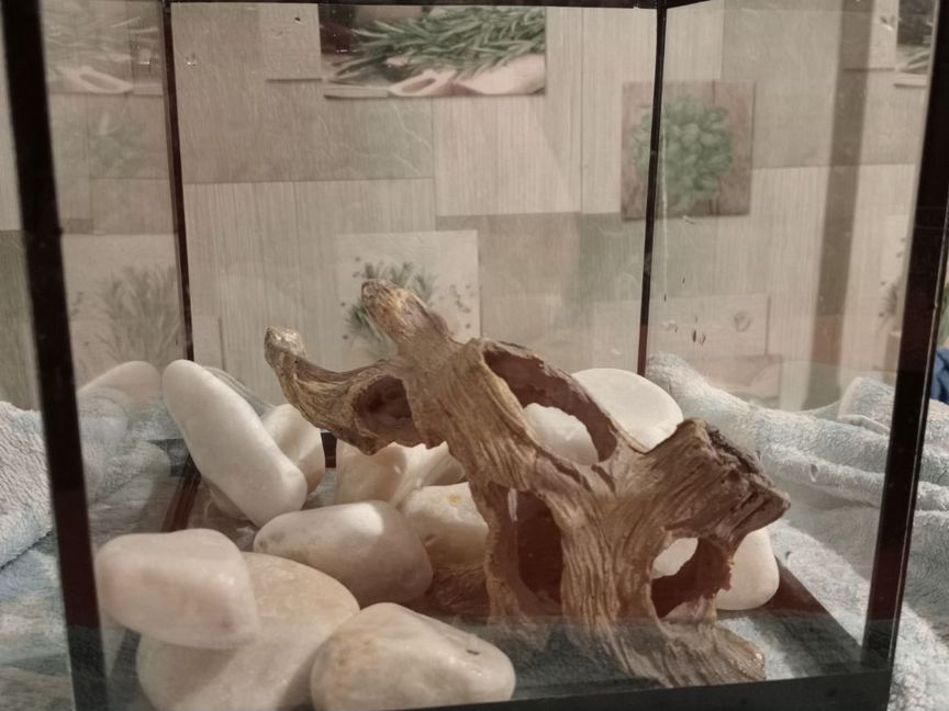 Аквариум куб 5 литров