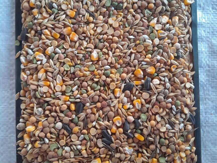 Зерносмесь для (животных и птиц)