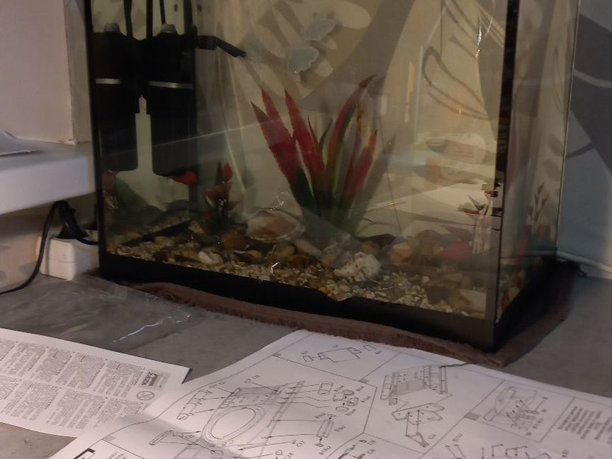 Аквариум 35 литров + фильтр + рыбки