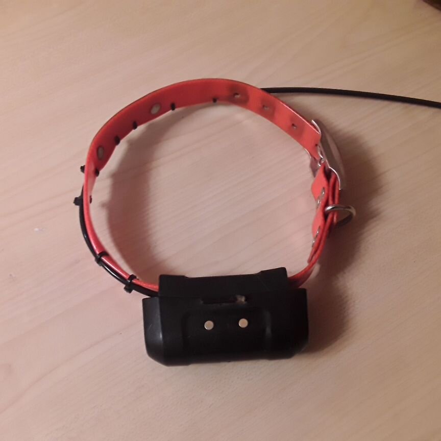 Ошейник Garmin DC40