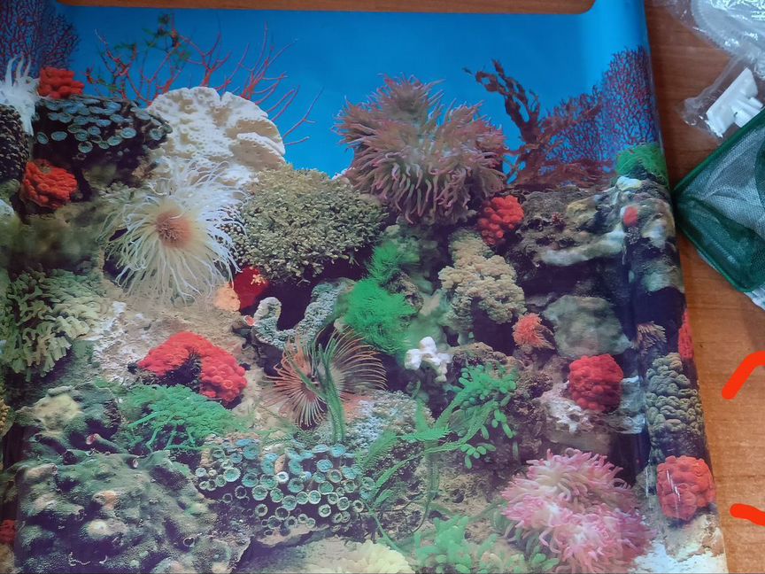 Фон для аквариума