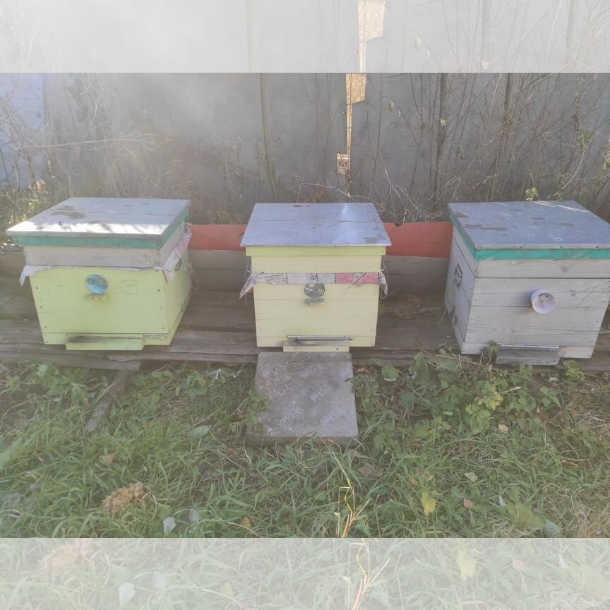 Улей для пчел