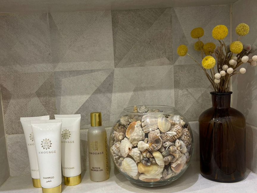 Морские ракушки раковины (рапаны)