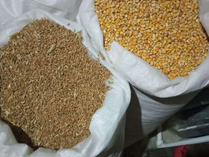Корма для животных. Кукуруза, пшеница, жмых