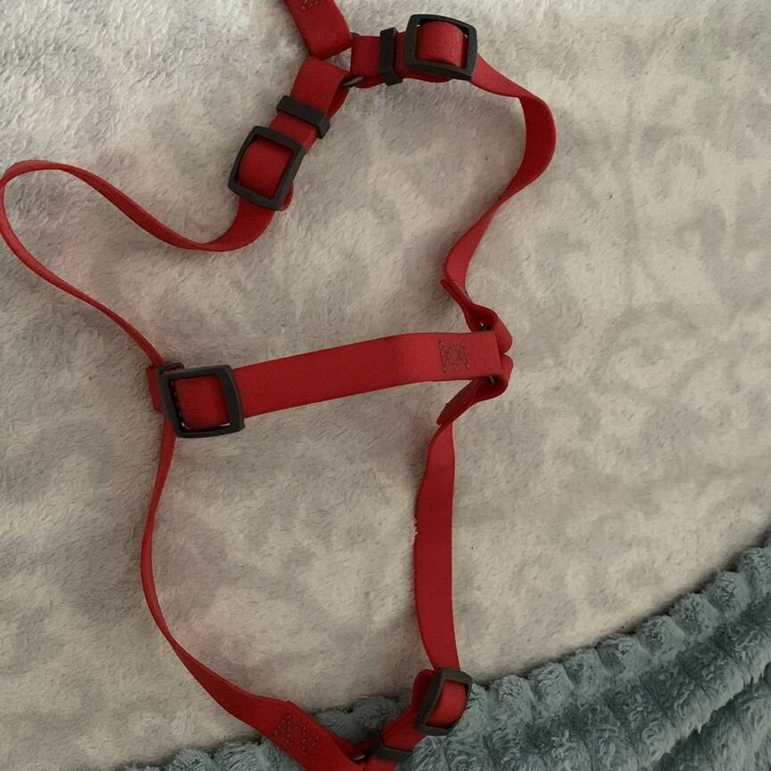 Шлейка для собак биотановая Wau dog