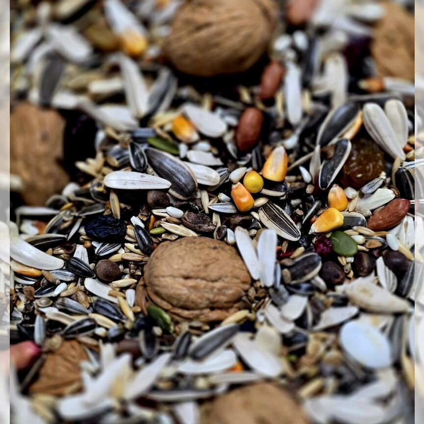 Корм для больших попугаев " Основной рацион"