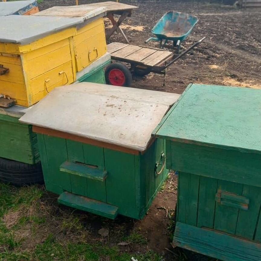 Пчелиные ульи