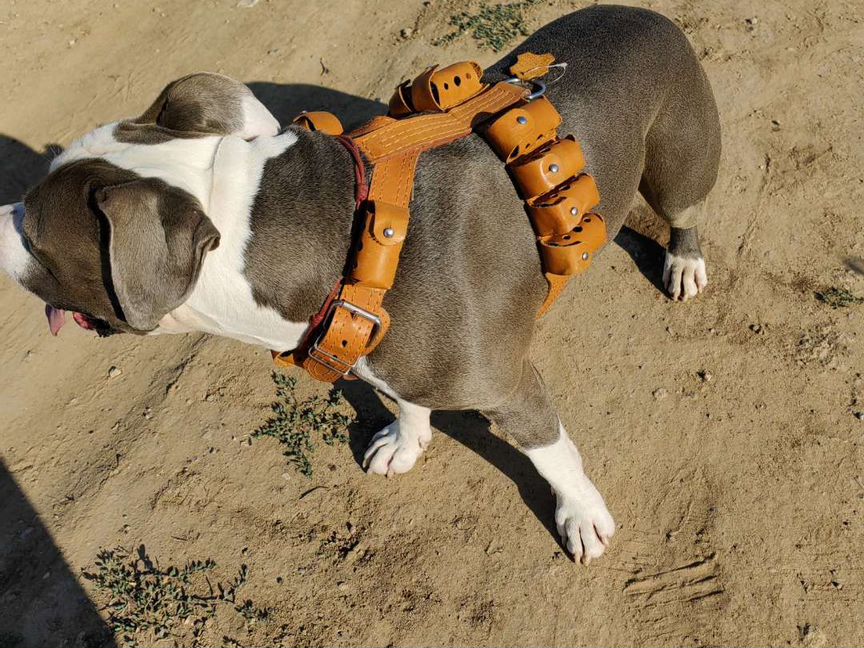 Шлейка с грузами, кожаная