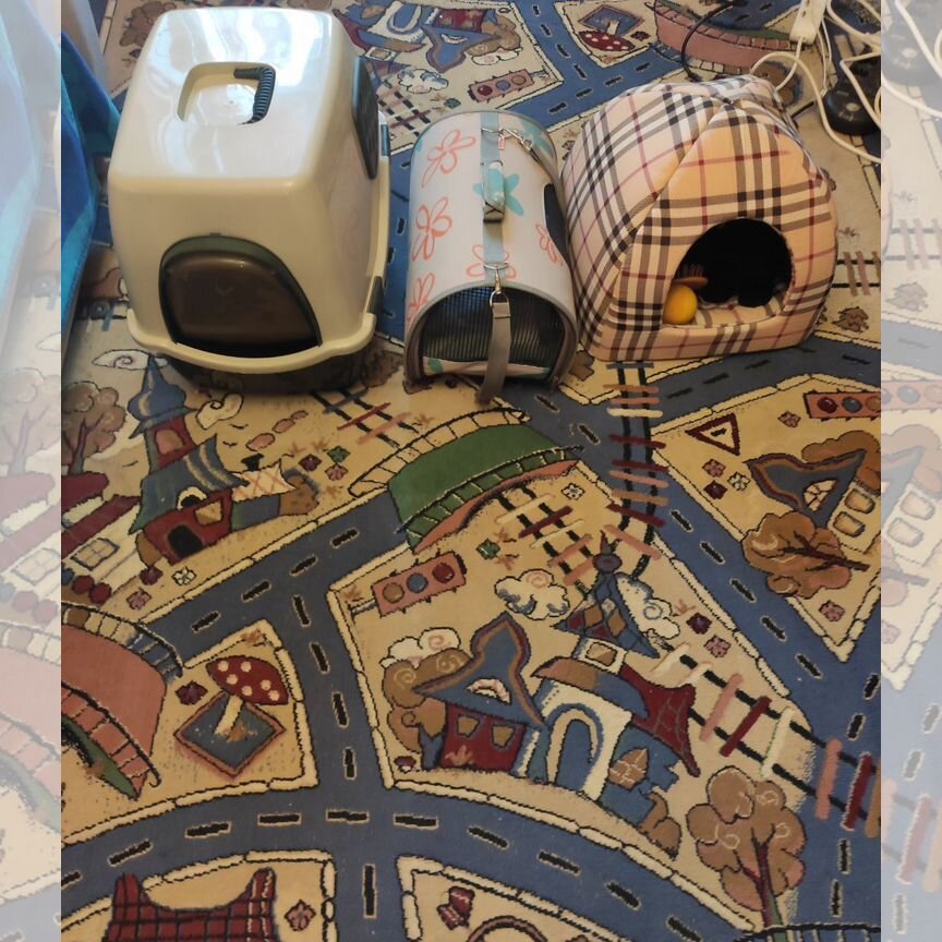 Дом туалет переноска для кошек