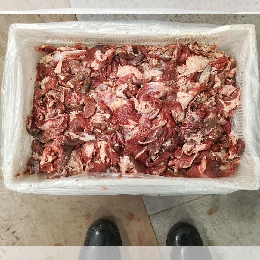 На корм животным обрезь говядины