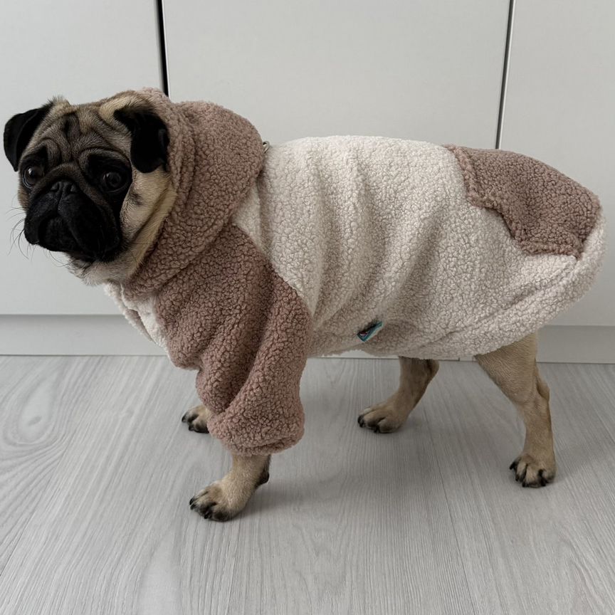 Толстовка для собак и кошек