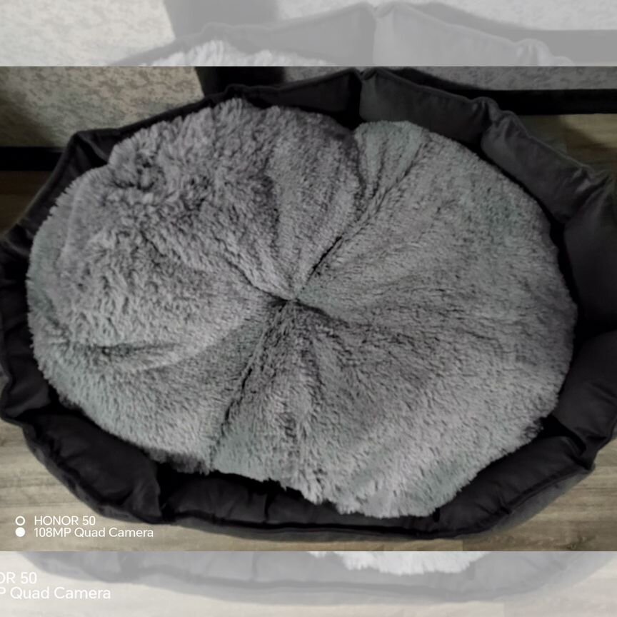 Лежанка для собак и зубная паста