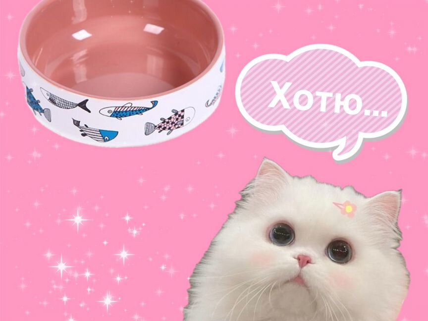Миска для кошек керамическая