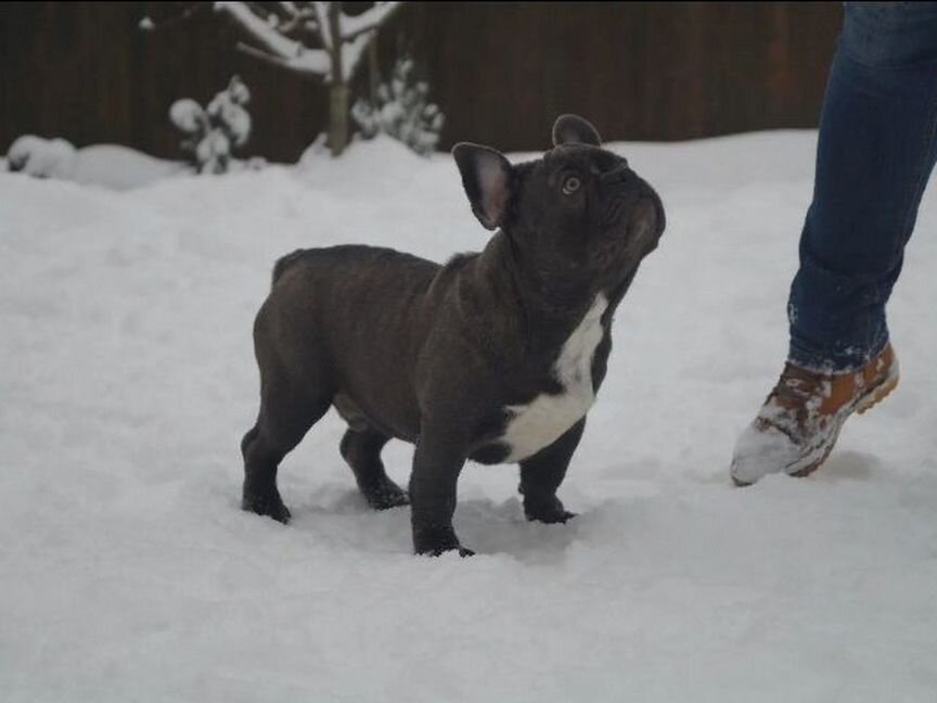 Супер парень