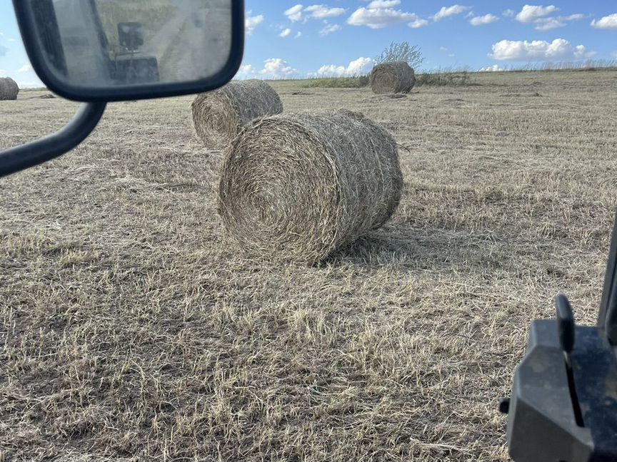 Сено в рулонах