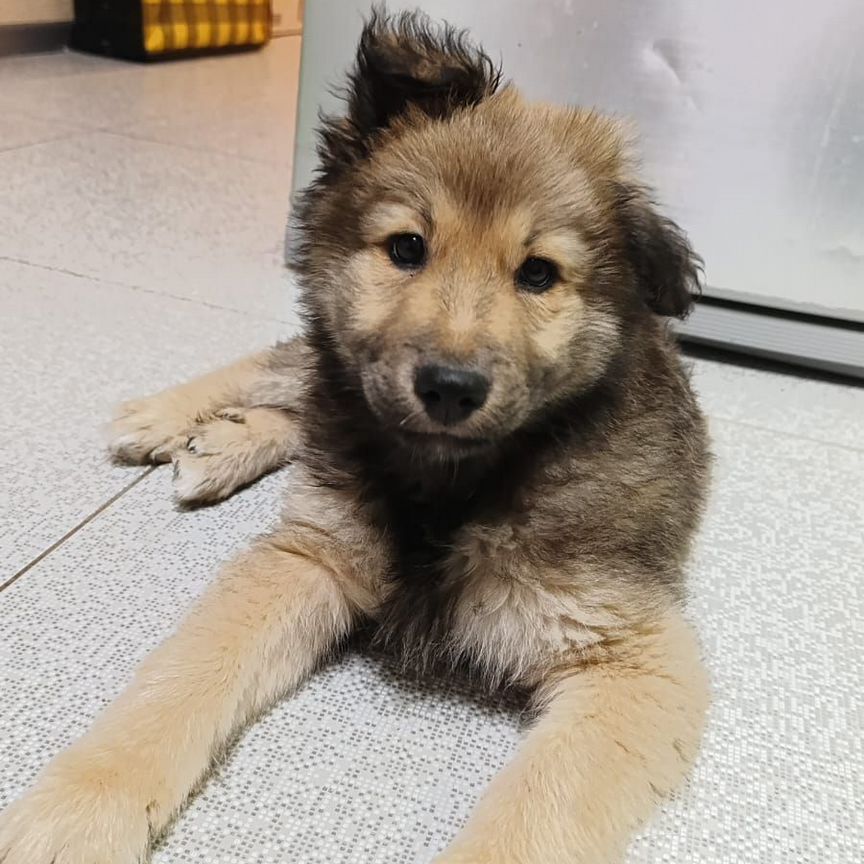 Крошечный Винни остался без мамы