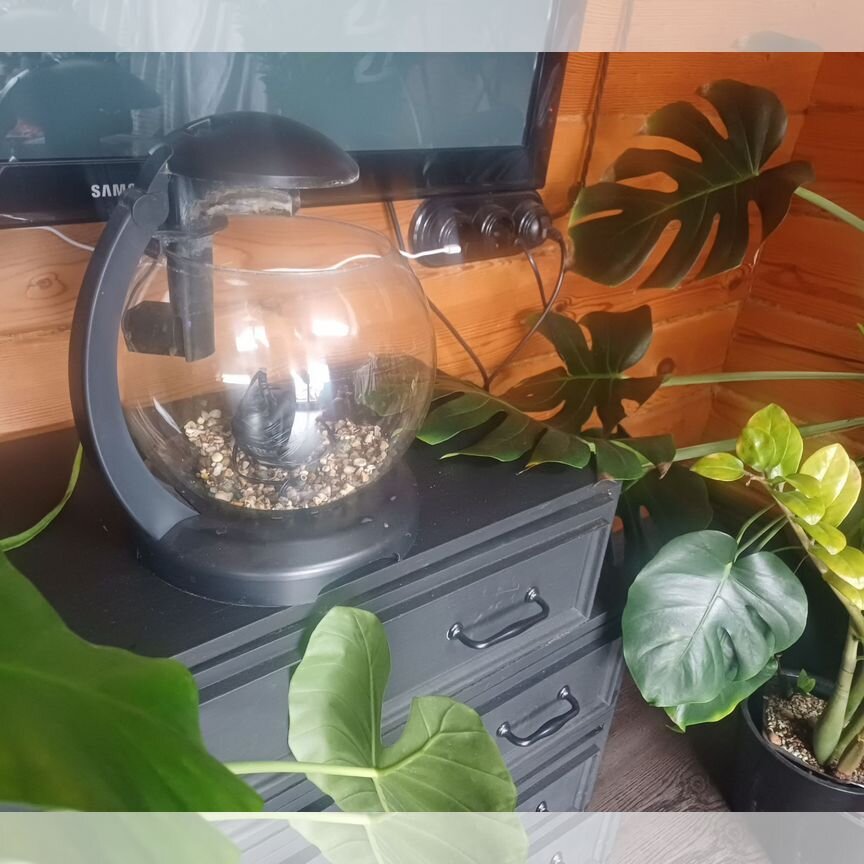 Аквариум круглый тетра