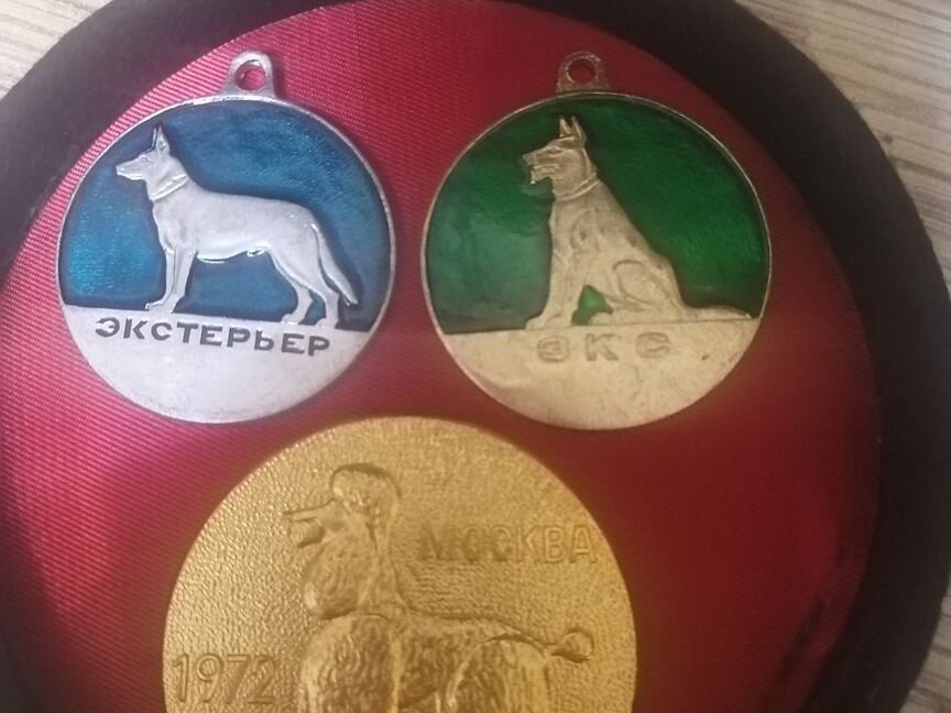 Медаль для собаки