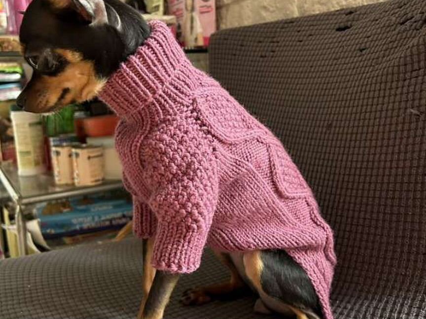 Вязаная одежда и шапочки для собак