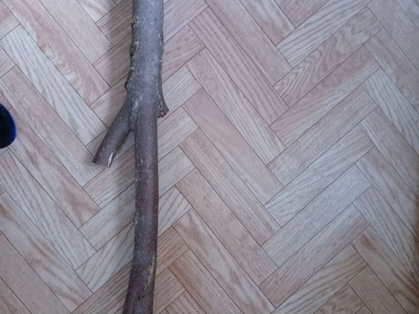 Натуральная когтеточка для кошек и собак
