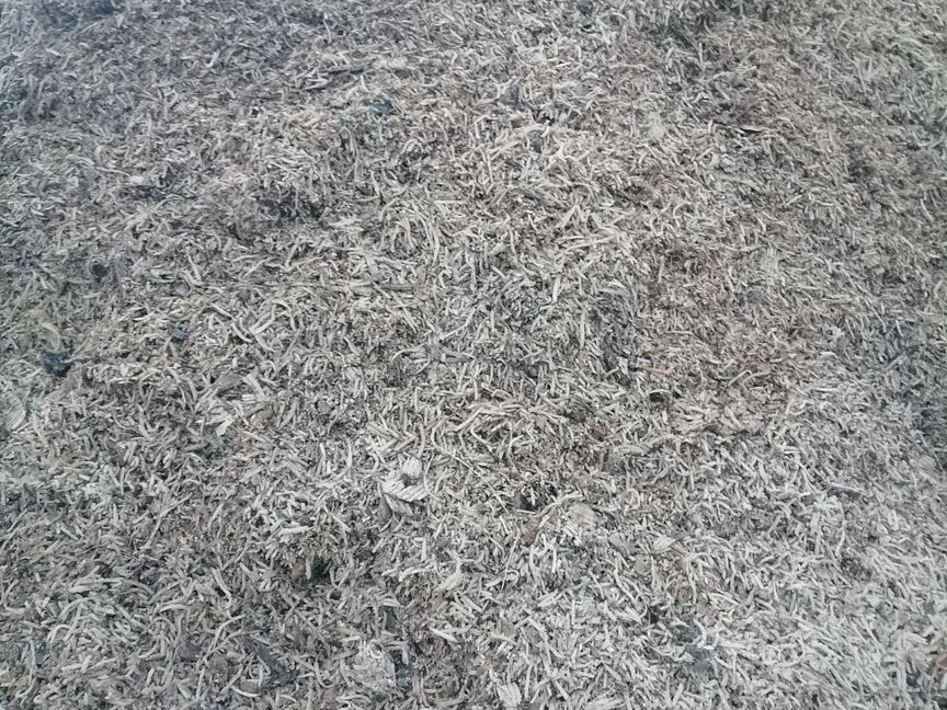 Продаётся мокрый свекольный жом