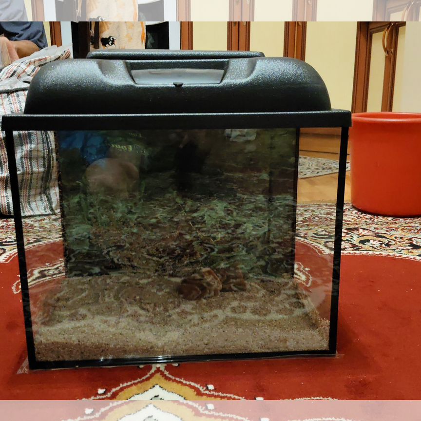 Аквариум для рыбок 10 л