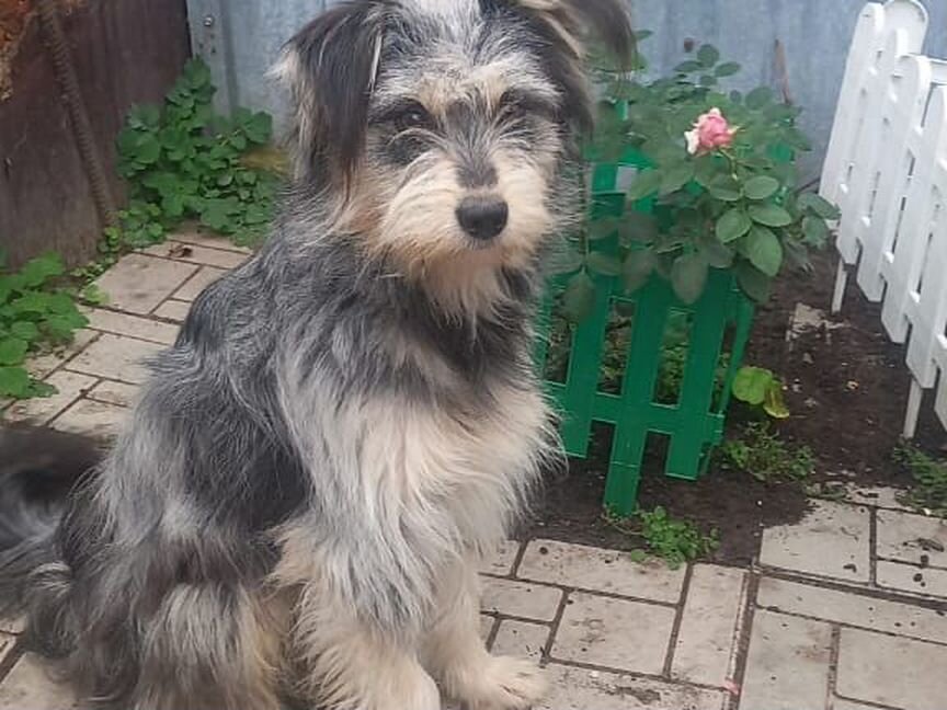Кузя
