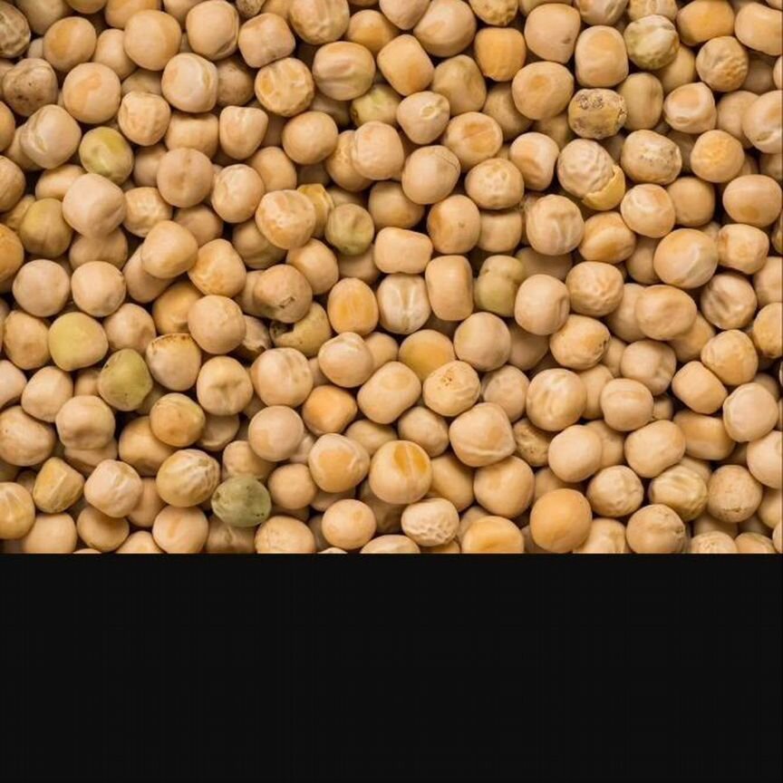 Горох и кукуруза