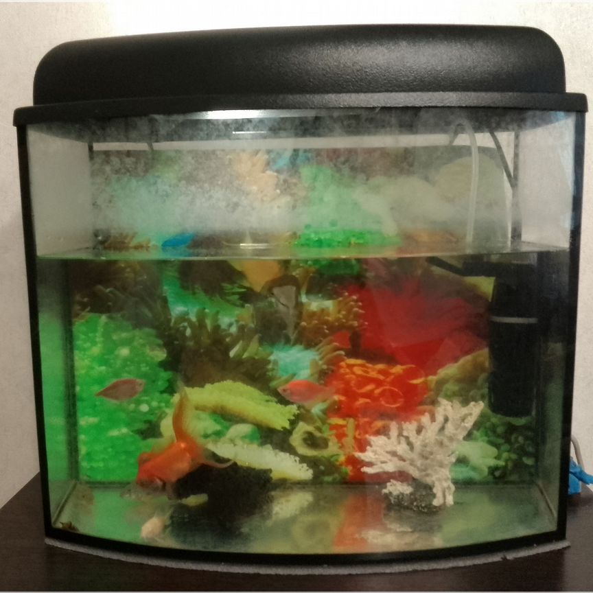 Аквариум панорамный 30 литров с рыбками