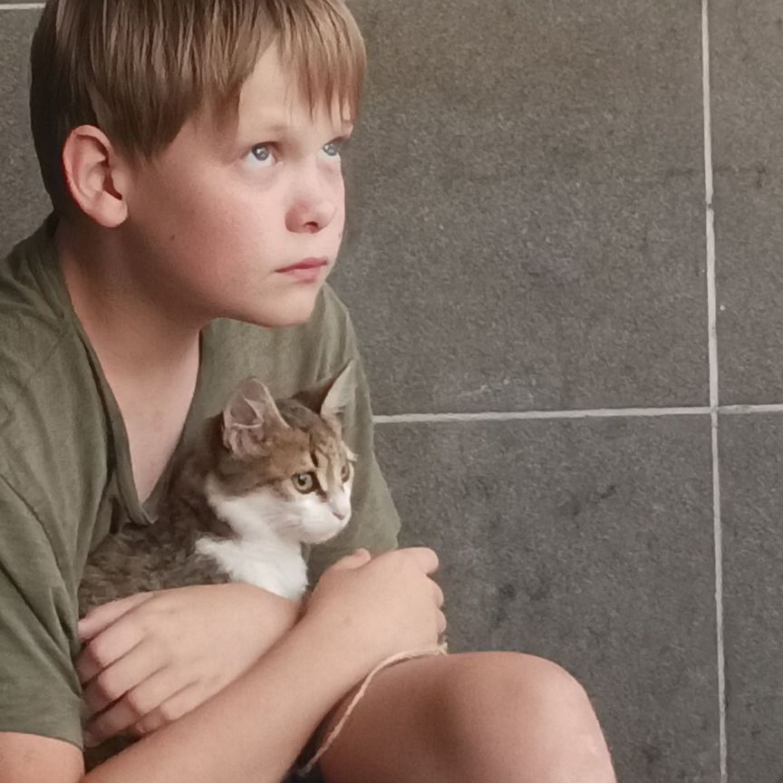 Котёнок