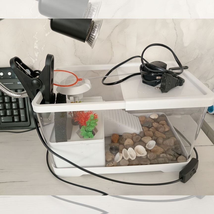 Террариум для красноухой черепахи