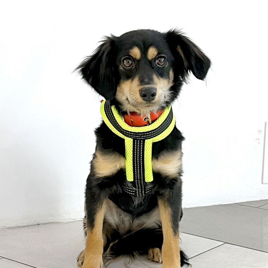 Маленькая недная девочка в добрые руки