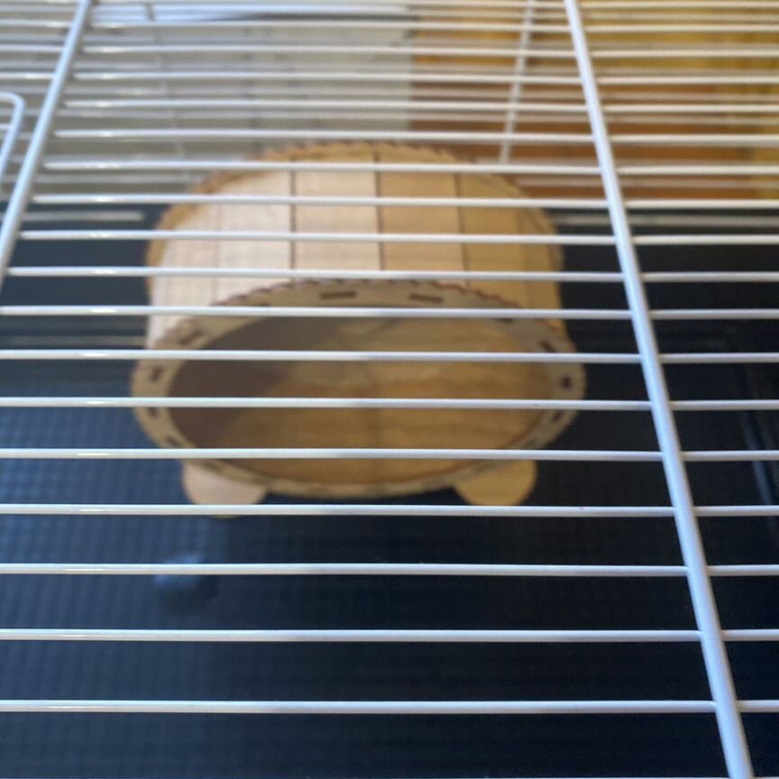 Клетка для грызунов