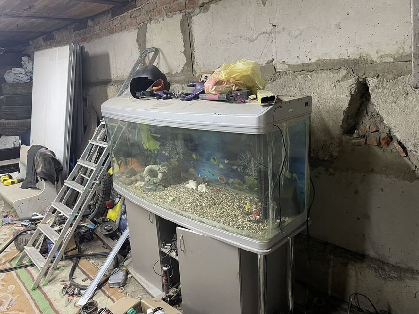 Аквариум