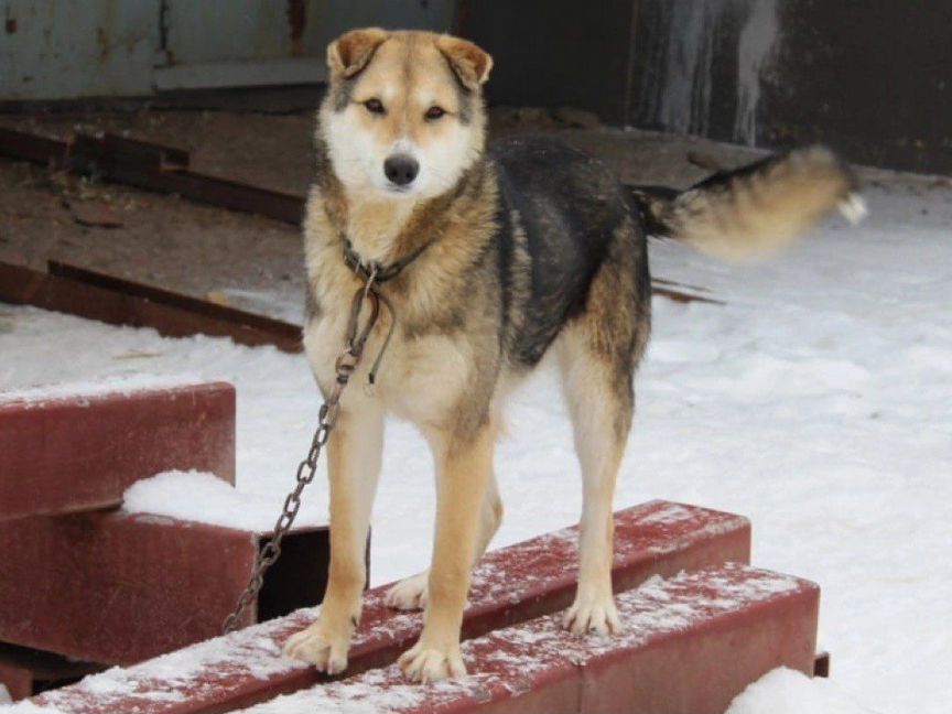 Хьюго был предан людьми