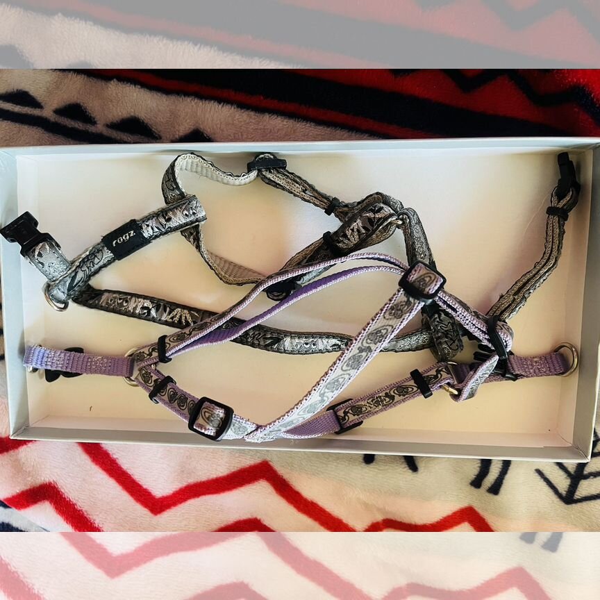 Шлейки для собак rogz  dogness  2 поводка и обувь