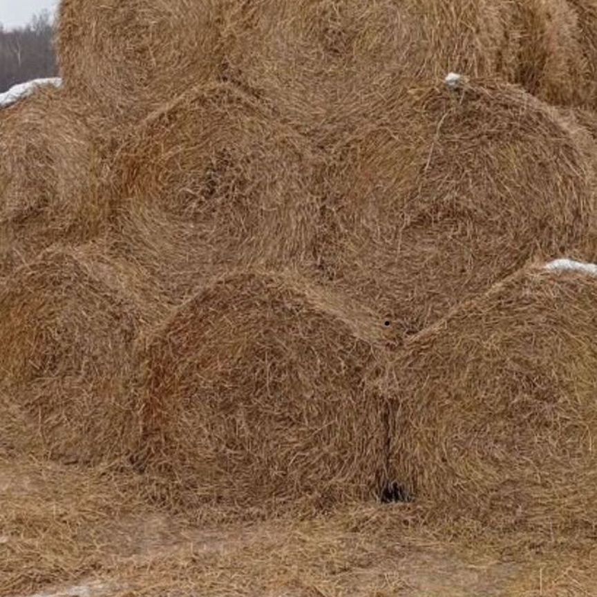 Солома в рулонах