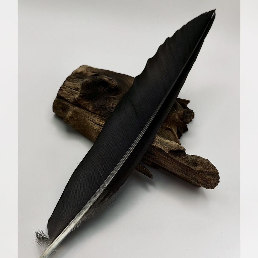 Перо Чёрного Ворона