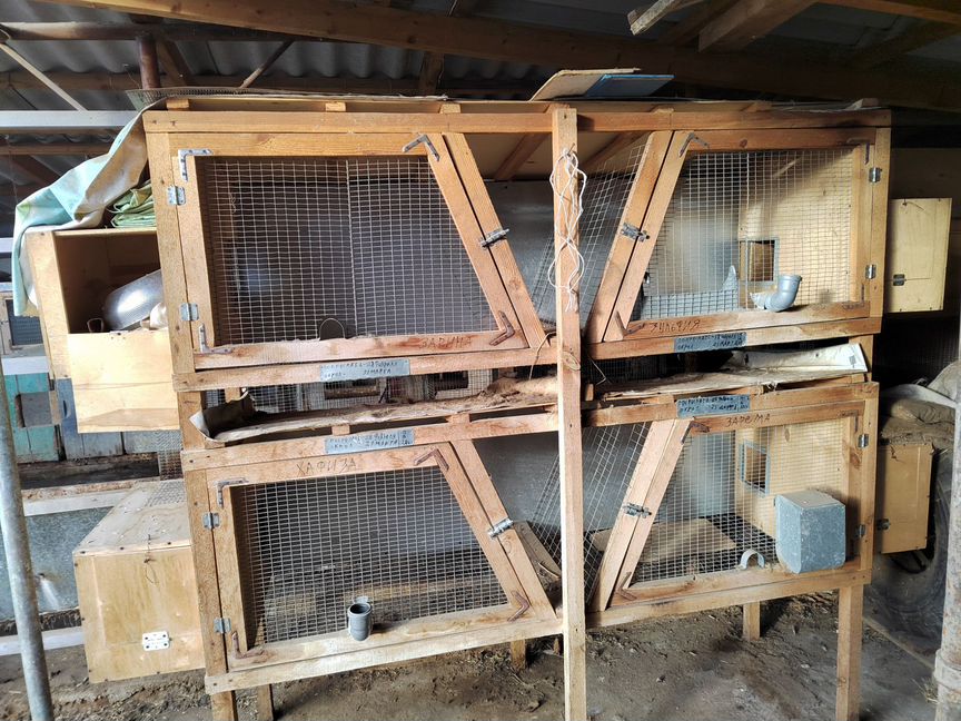 Клетка для кролика