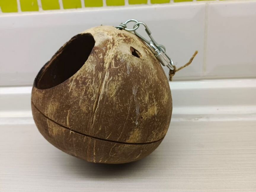 Домик из крупного кокоса для попугая