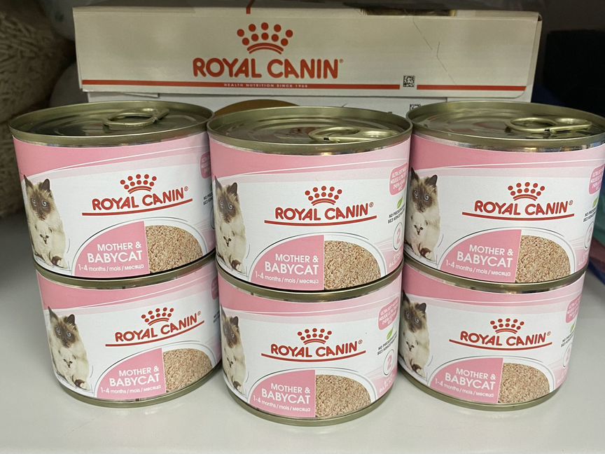 Корм для котят royal canin